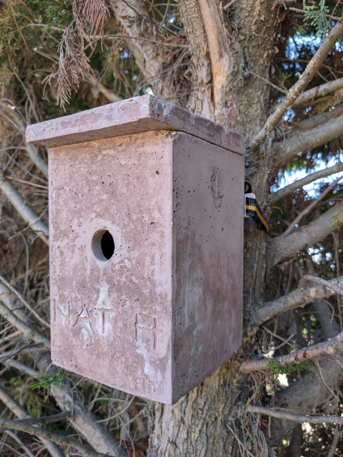 Nichoir en béton de bois à Mésanges ouverture toit - Nat'H Nature-Harmonie