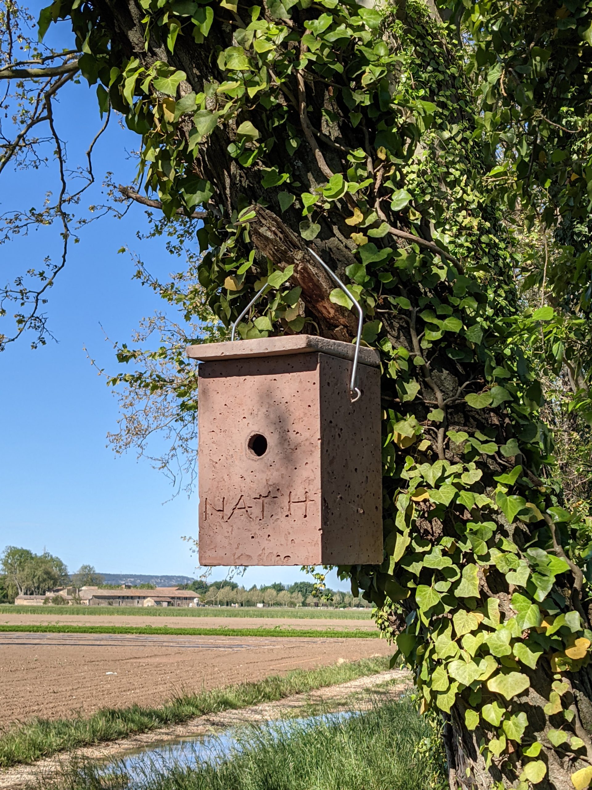 Nichoir en béton de bois à Mésanges ouverture toit - Nat'H Nature-Harmonie